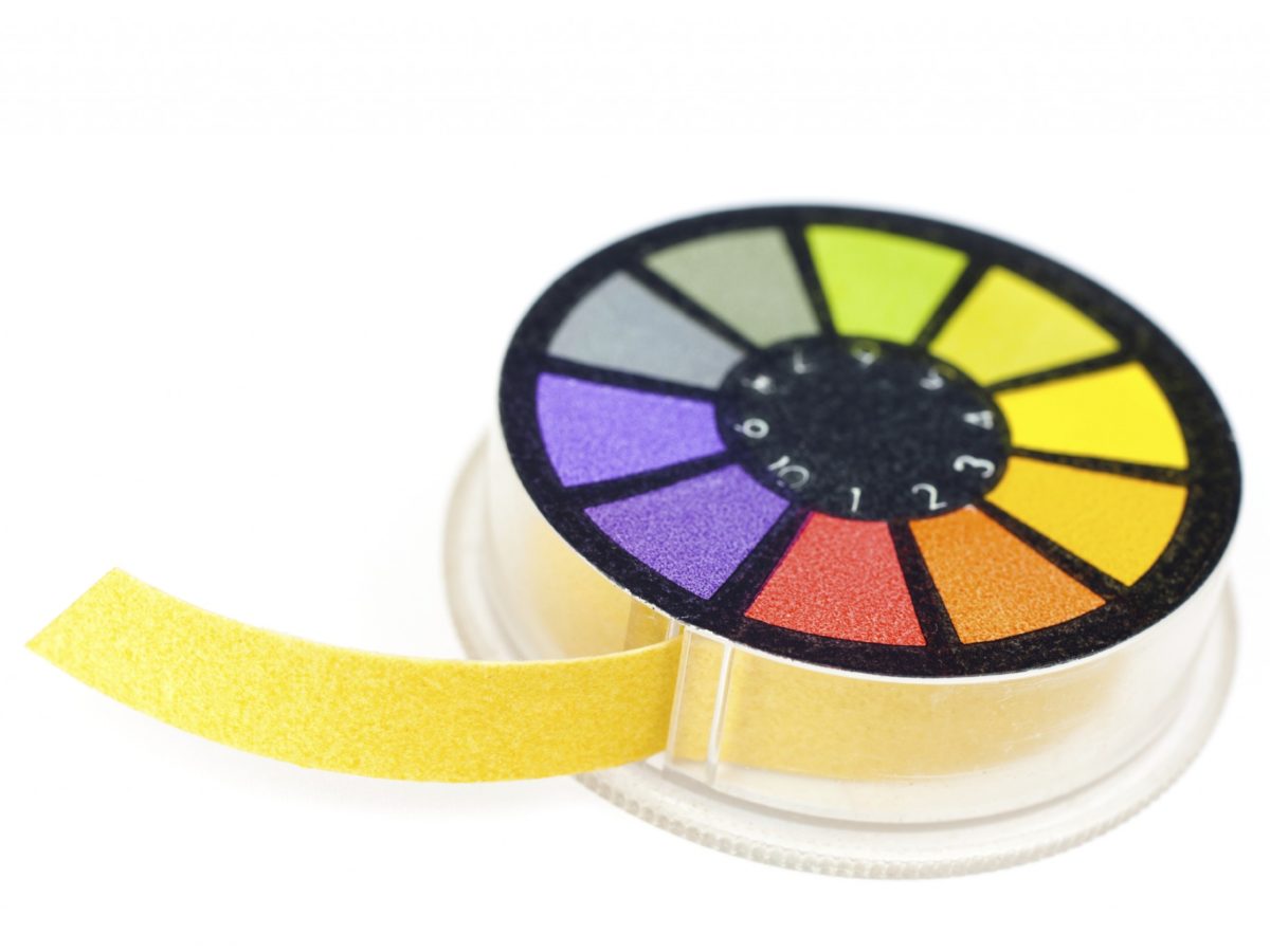 Are You Living in A Toxic Body? Alkalize And Be Alive ⋆ Laura London ...